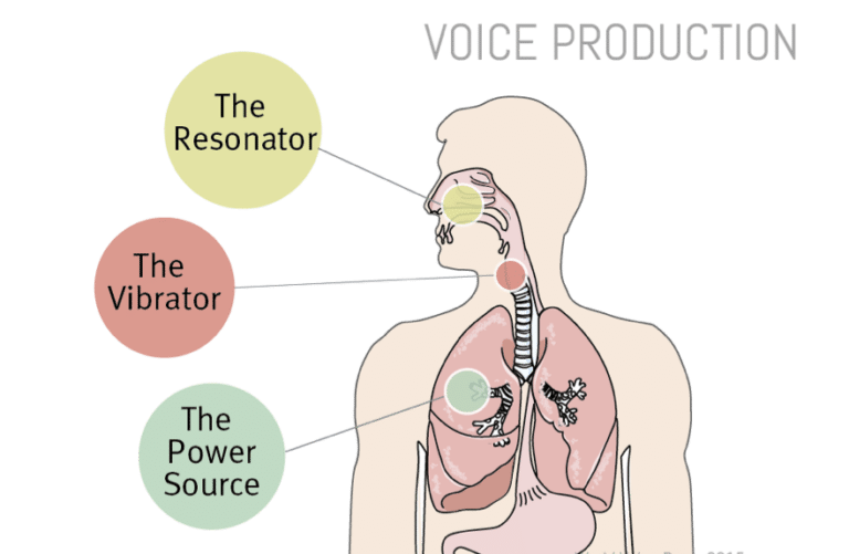 How to Sing Better: Unleashing Your Vocal Potential - Singing Success